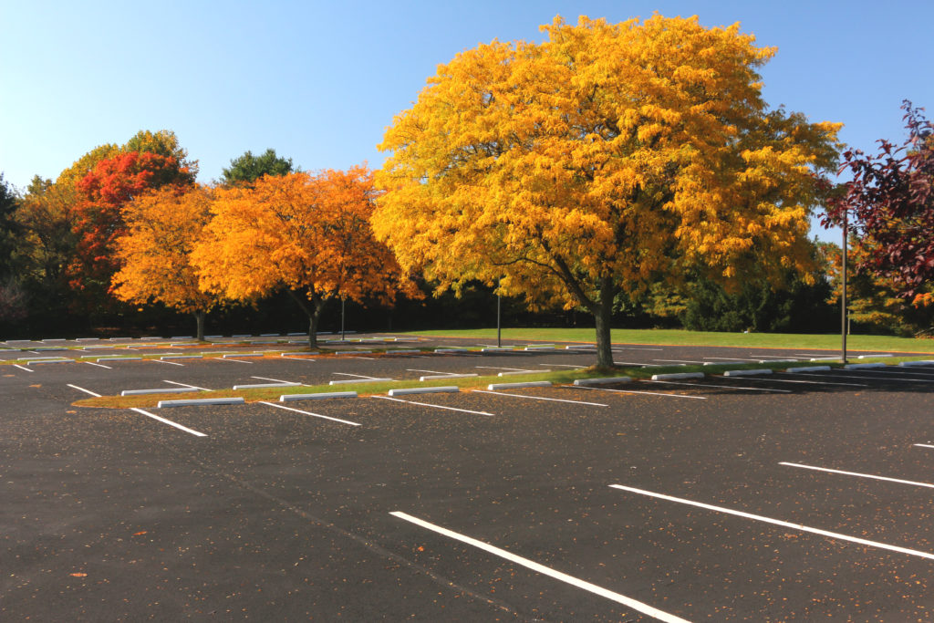 Does your Business Need to Worry About the ‘Parking Lot Tax’? - Abdo